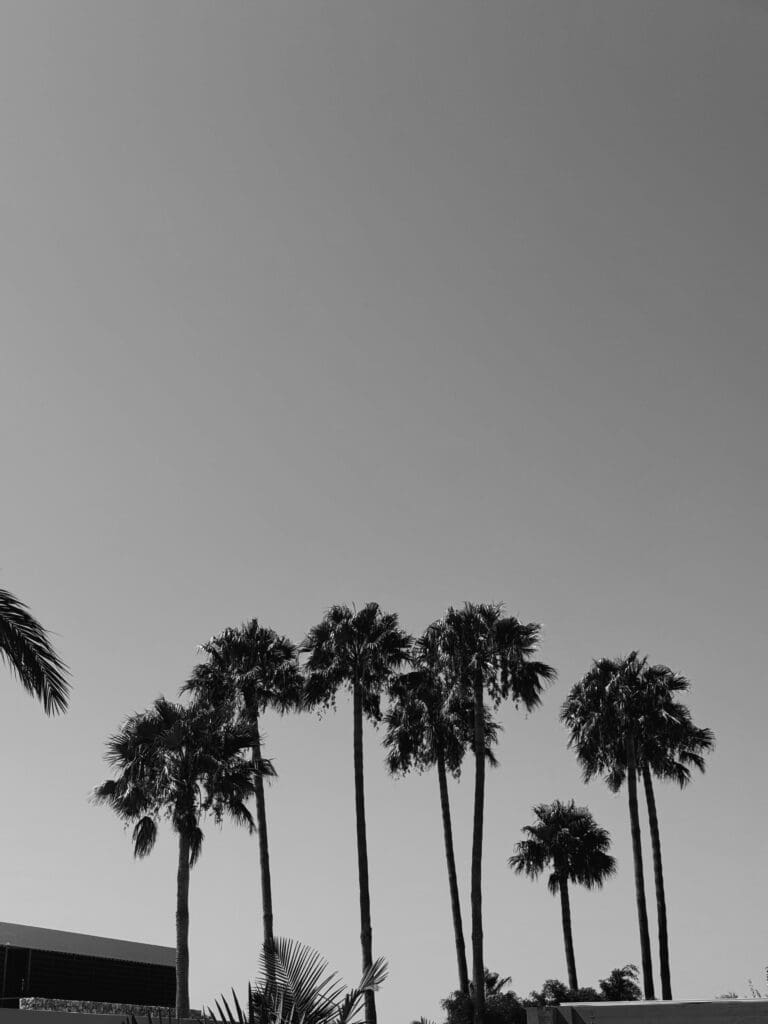 Understanding OCD and Treatment Options | groundandgrowcounseling.com